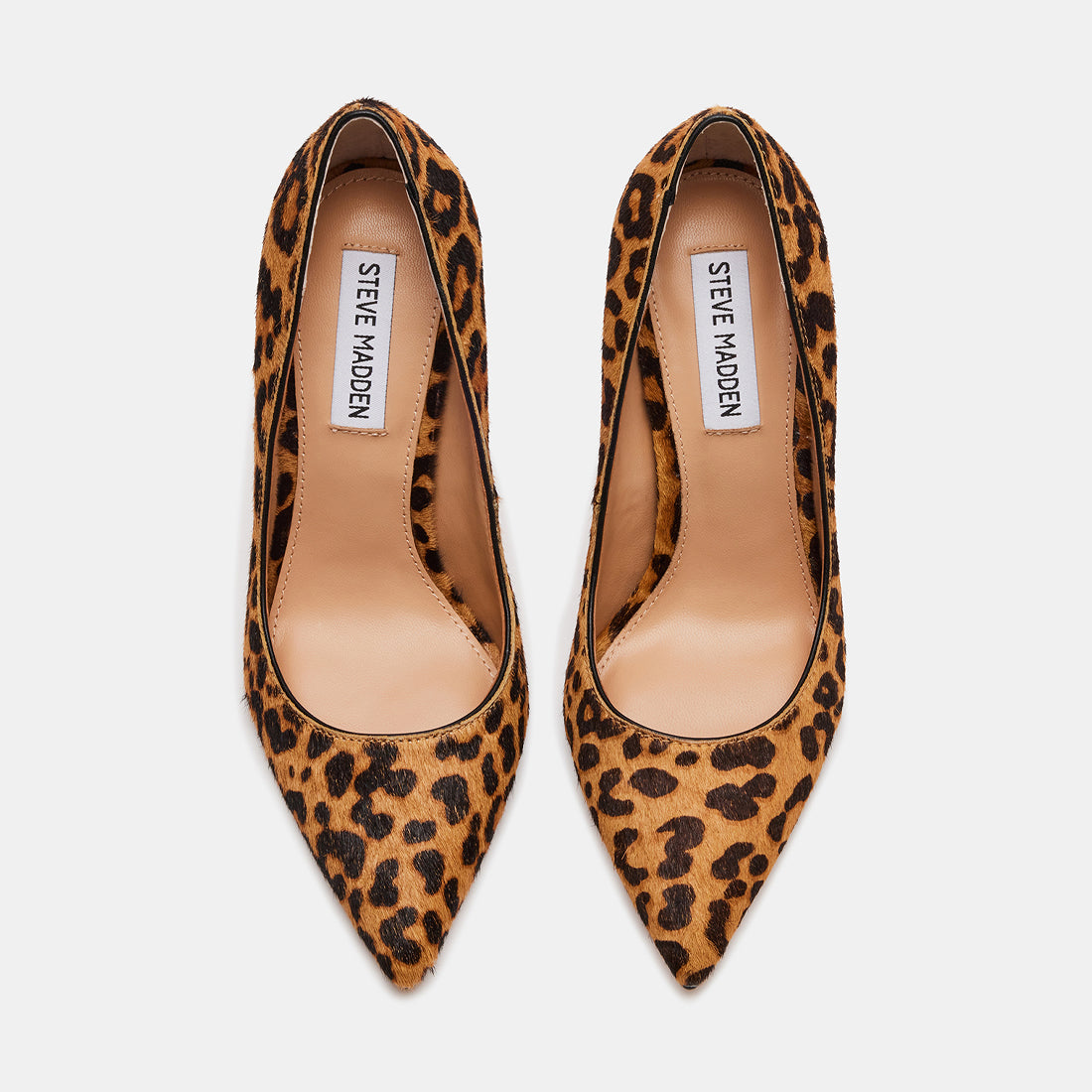 EVELYN-L Leopard Pointy Toe Stiletto Pumps | Women's Designer Heels ...