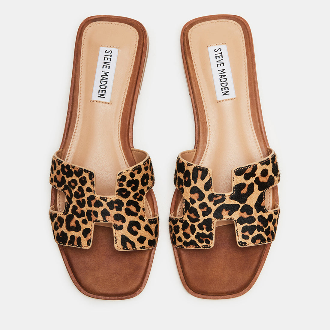 HADYN-L Leopard Flat Slide Sandals | Women's Designer Sandals – Steve ...